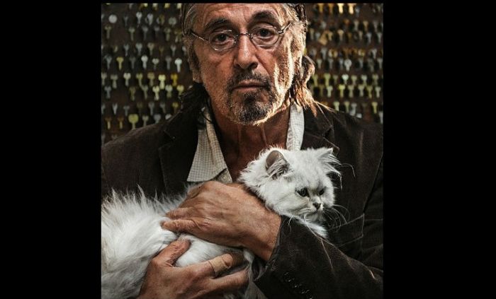 All About Dante, The Xolo Dog in ‘Coco’ | Movie Paws