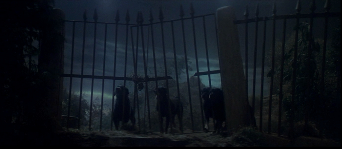 The Scariest Movie Animals: Jaws, The Birds and Rage-Infected Monkeys ...