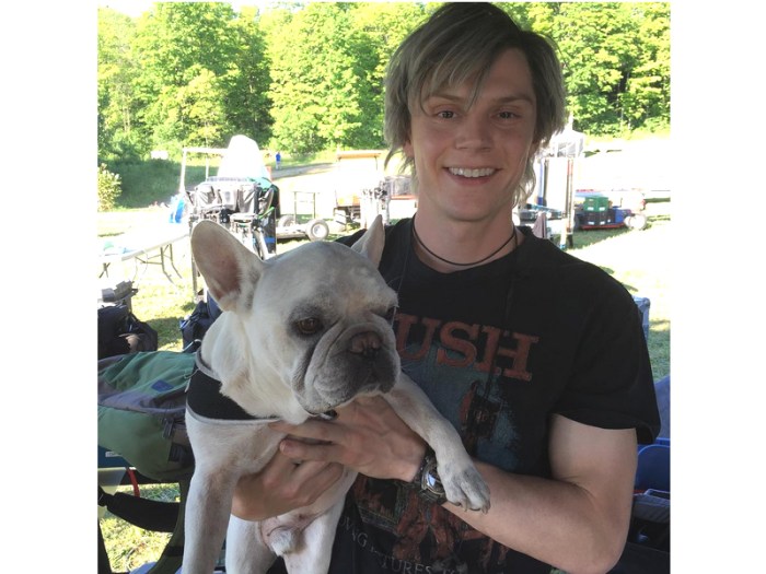Owen Wilson Talks About Daisy the Dog in ‘Wonder’ (Spoilers) | Movie Paws