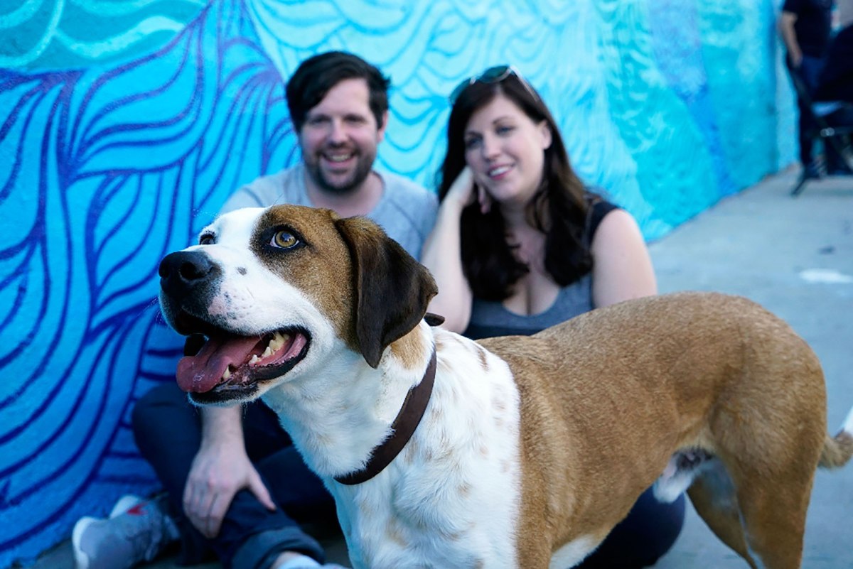 Meet Ned, the Canine Star of ABC’s ‘Downward Dog’ | Movie Paws