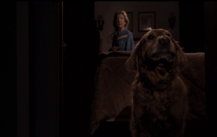 Horror Movies Where the Dog Doesn’t Die | Movie Paws