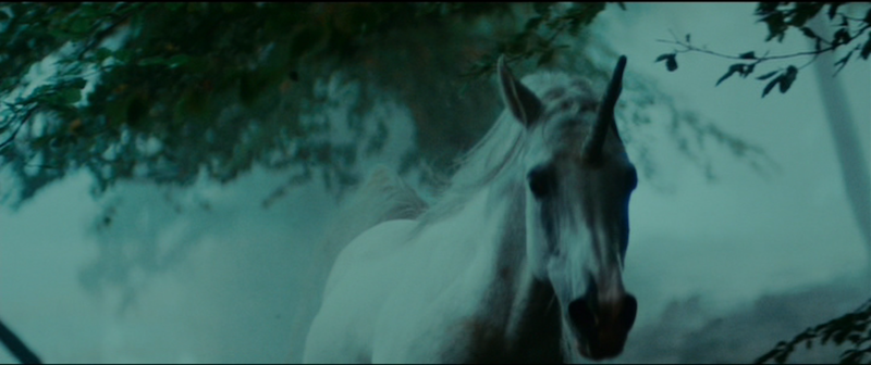 Owls, Snakes and Unicorns: The Animals of ‘Blade Runner’ | Movie Paws