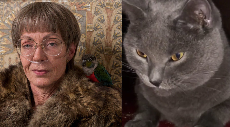 Oscars: Allison Janney Thanks Bird Costar, Makeup Winner Thanks His ...