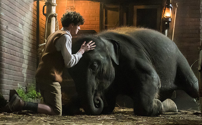 ‘Zoo’ Trailer: An Irish Lad Tries to Save a Baby Elephant in Wartime ...