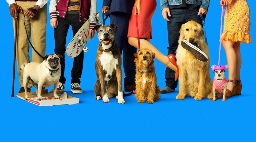 Meet the Dogs (and Dog-Loving Stars) of ‘Dog Days’ | Movie Paws
