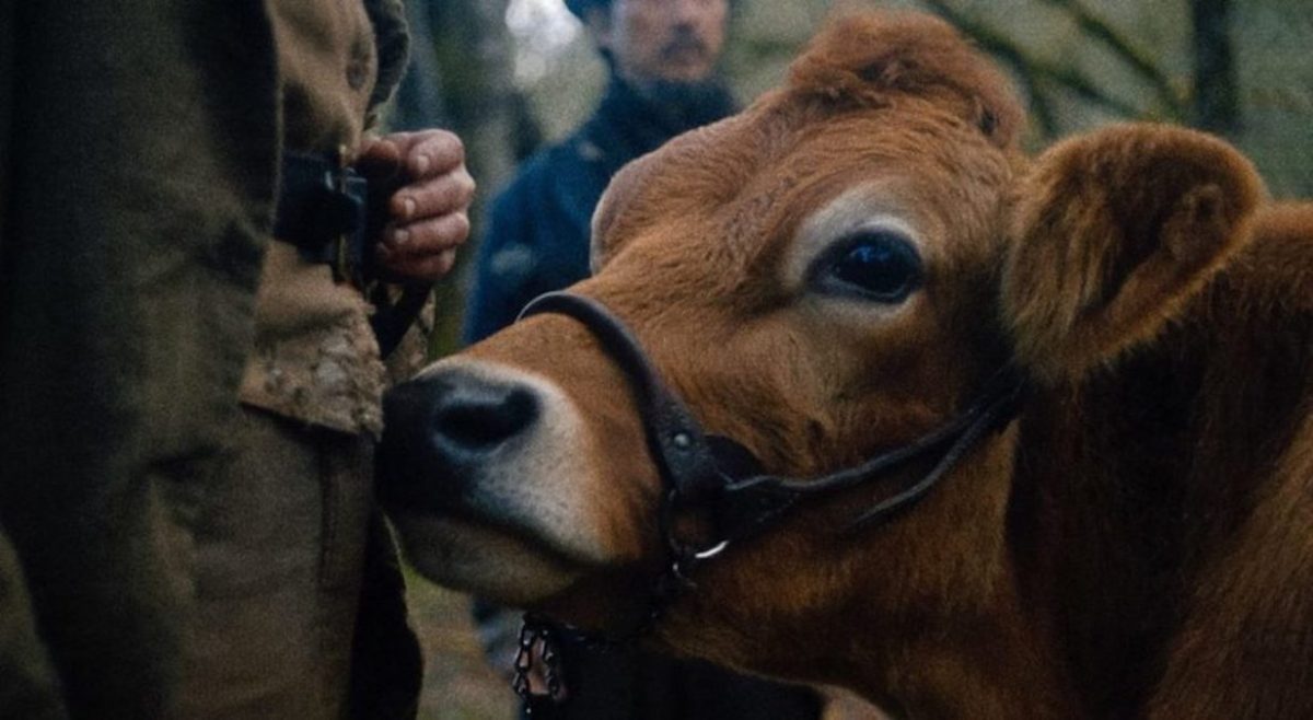 All About Eve, the Star of ‘First Cow’ | Movie Paws