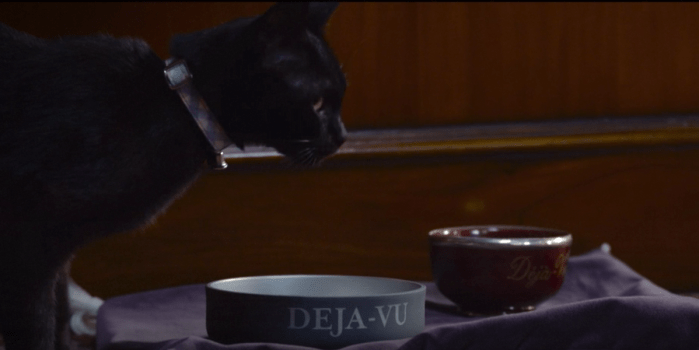 Is the Deja Vu Cat From ‘The Matrix’ in ‘The Matrix Resurrections ...