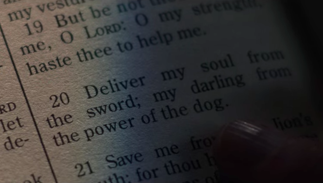 ‘The Power of the Dog’: Your Animal Questions Answered | Movie Paws